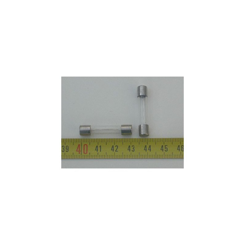 Glass pipe fuse 8A 6x32mm fast